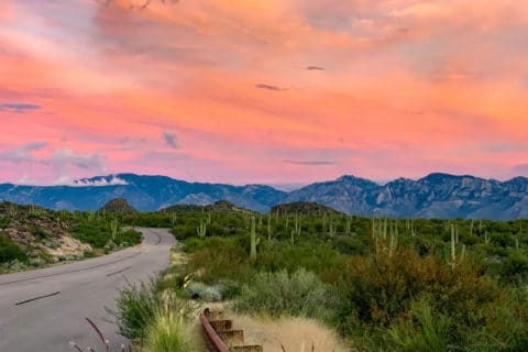 Digital Image Size and Resolution: What Do You Need to Know? | DF Studio™