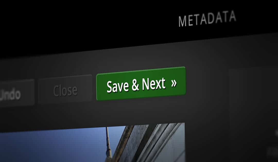 Software Development Update: October 2020 | DF Studio™