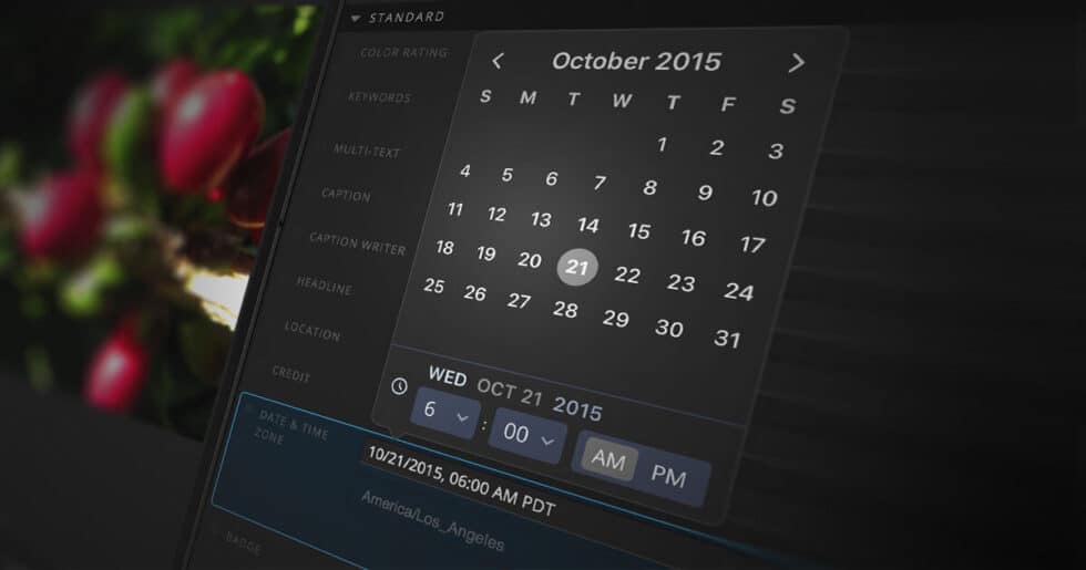 Software Development Update: August 2022 | DF Studio™